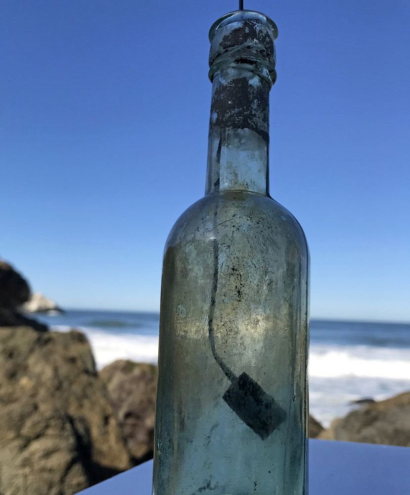 Phantom Limbs - Cheryl E. Leonard