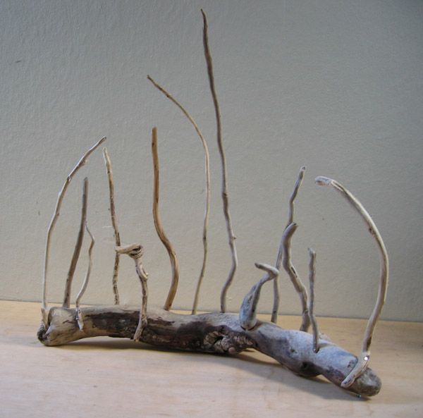 Instruments in Trees - Cheryl E. Leonard